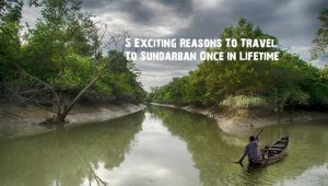5 Exciting Reasons To Travel To Sundarban Once in Lifetime